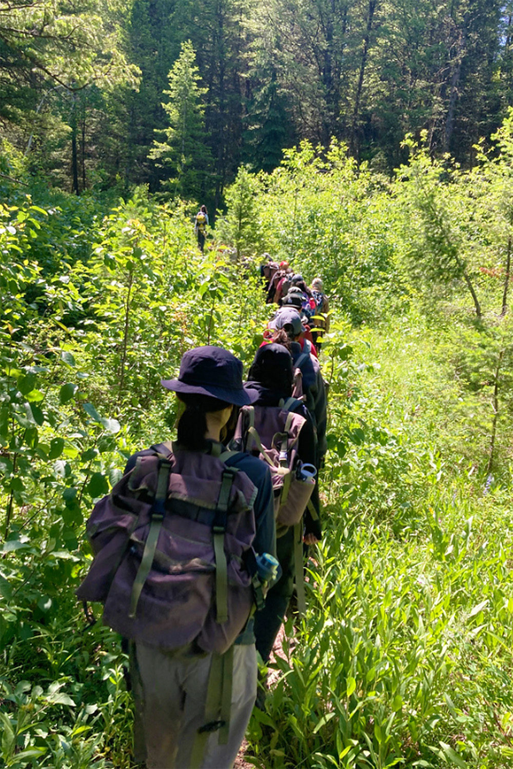 Home - Summer Search