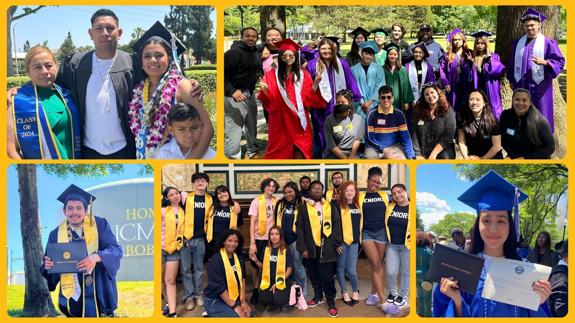 Blog - Summer Search