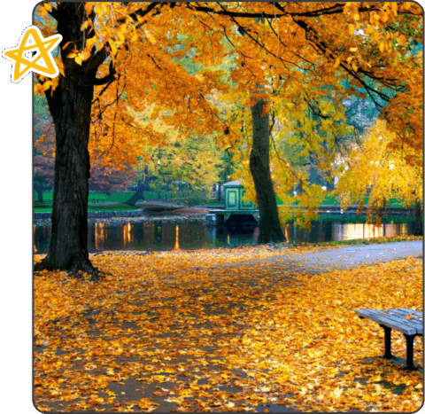 Boston – Summer Search